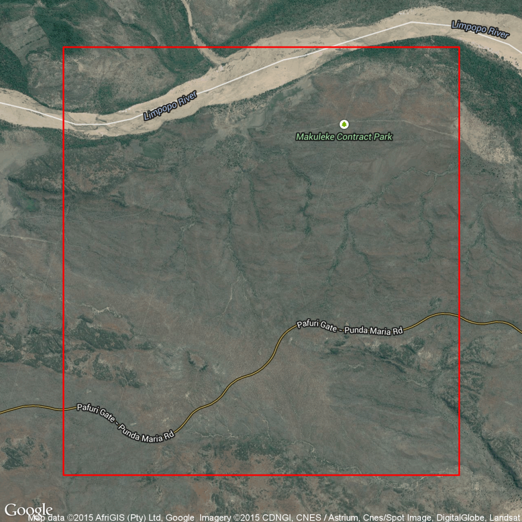 Pafuri - Makuleke Contractual Park (Kruger National Park)